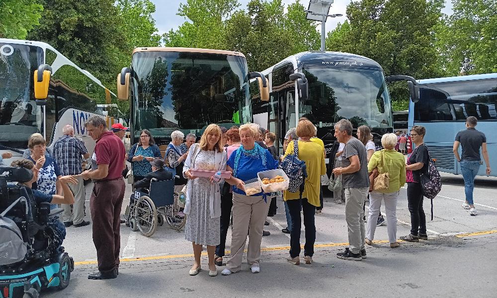 Na 56. tradicionalnem romanju bolnikov, invalidov in ostarelih na Brezje - Pastoralna zveza ...